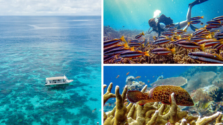 Raja Ampat in the Off-Season PART 2 - Meridian Adventure Raja Ampat ...